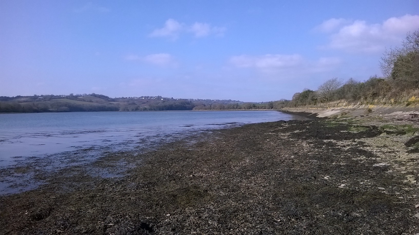 Lower Marsh Farm - Lower Marsh Farm