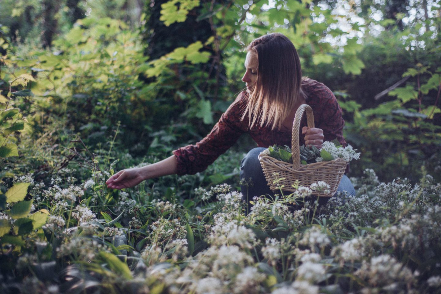 Wild food foraging workshop - Lower Marsh Farm