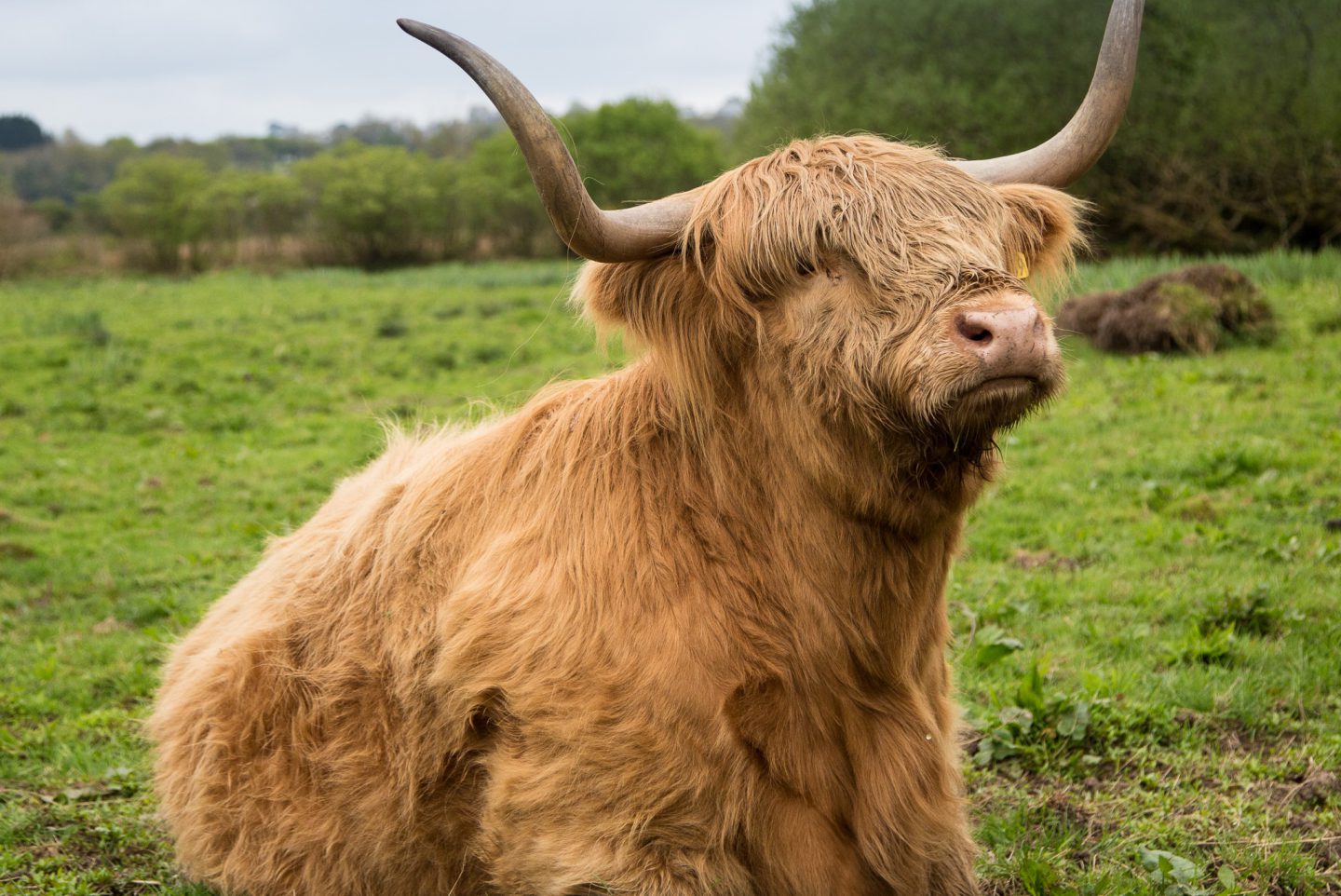 Lower Marsh Farm - Lower Marsh Farm