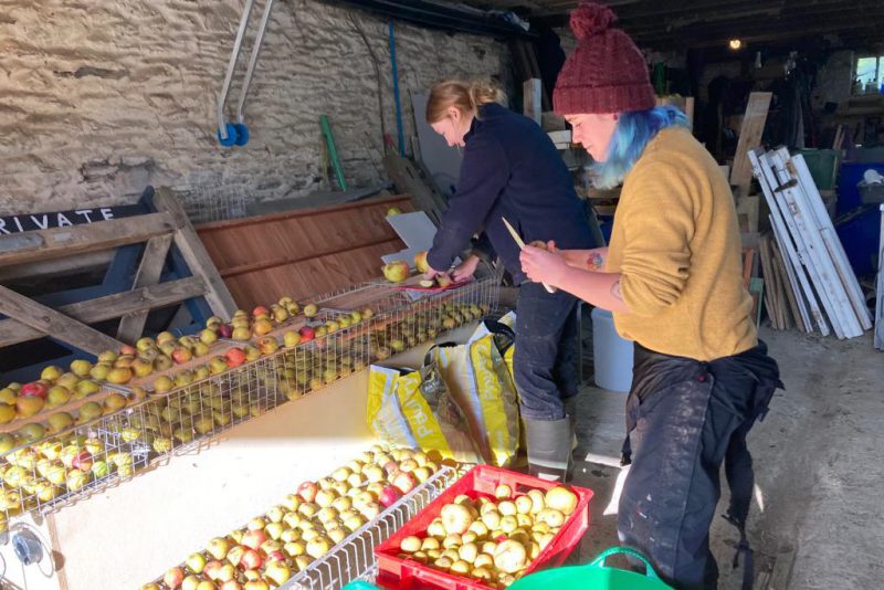 Farm & Outdoor Activities - Lower Marsh Farm