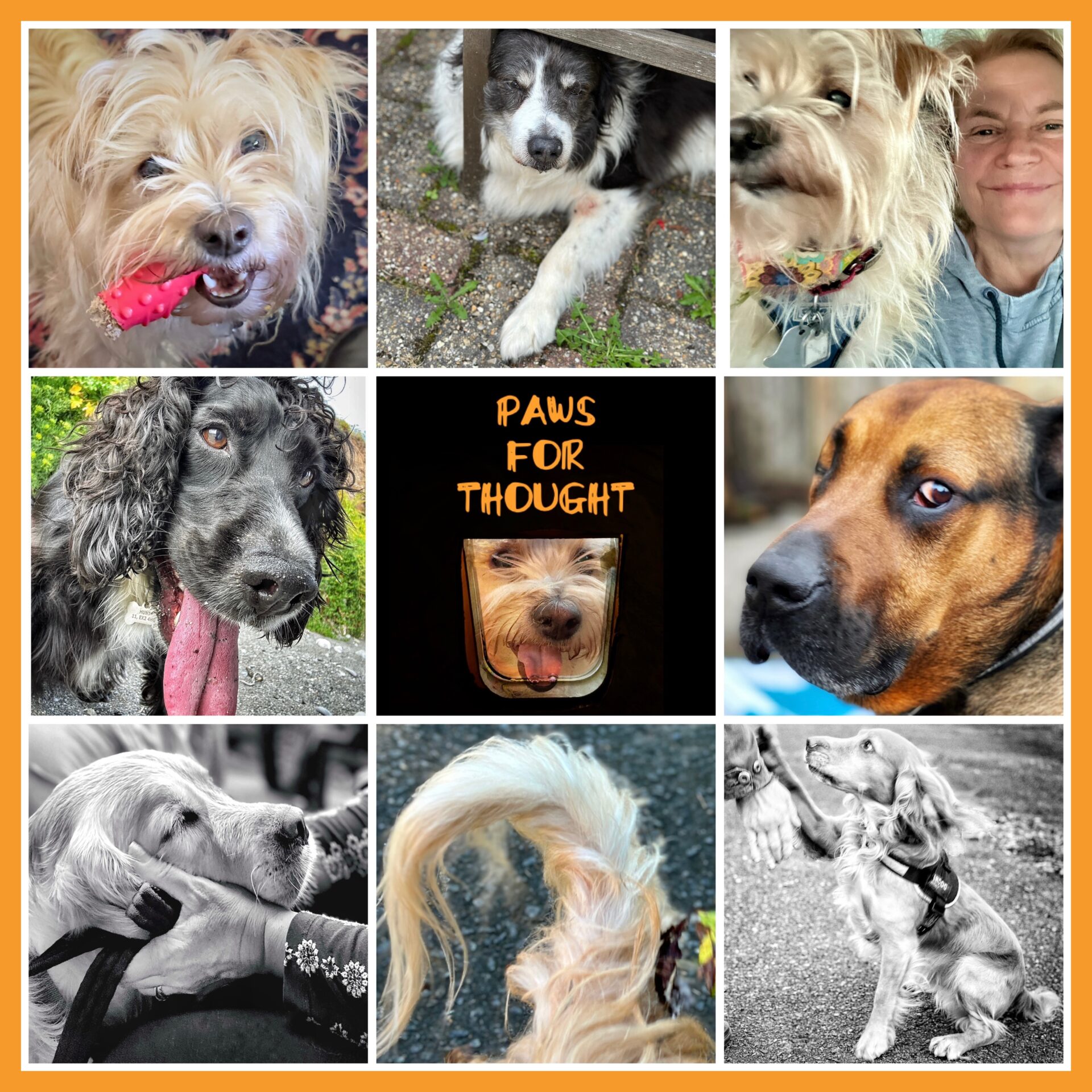 Pocketful of Calm – Mindful Photography Experiences - Lower Marsh Farm